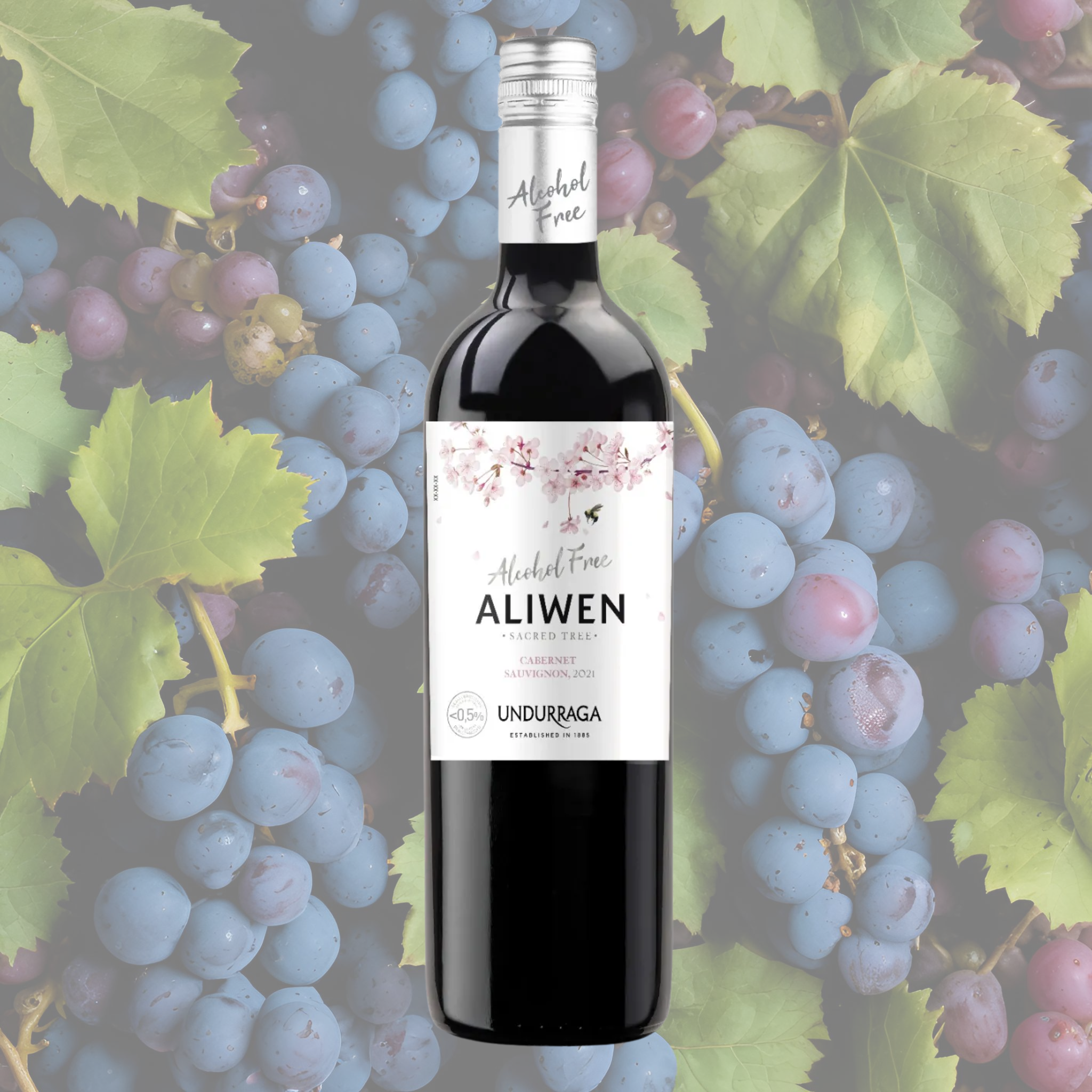 Aliwen Free Sin Alcohol, Viña Undurraga 750cc – La Cueva del Vino